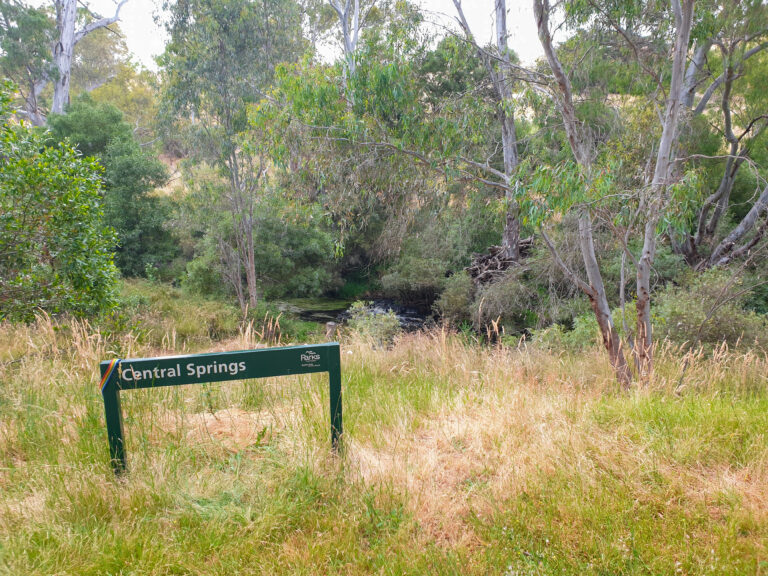 Exploring The Best Things To See In Vaughan Springs – The Caravan of ...