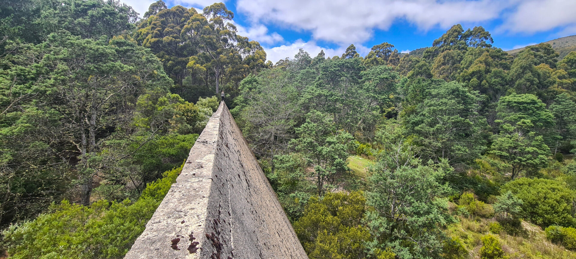 Blue Tier Discovery Trail– The Caravan of Courage