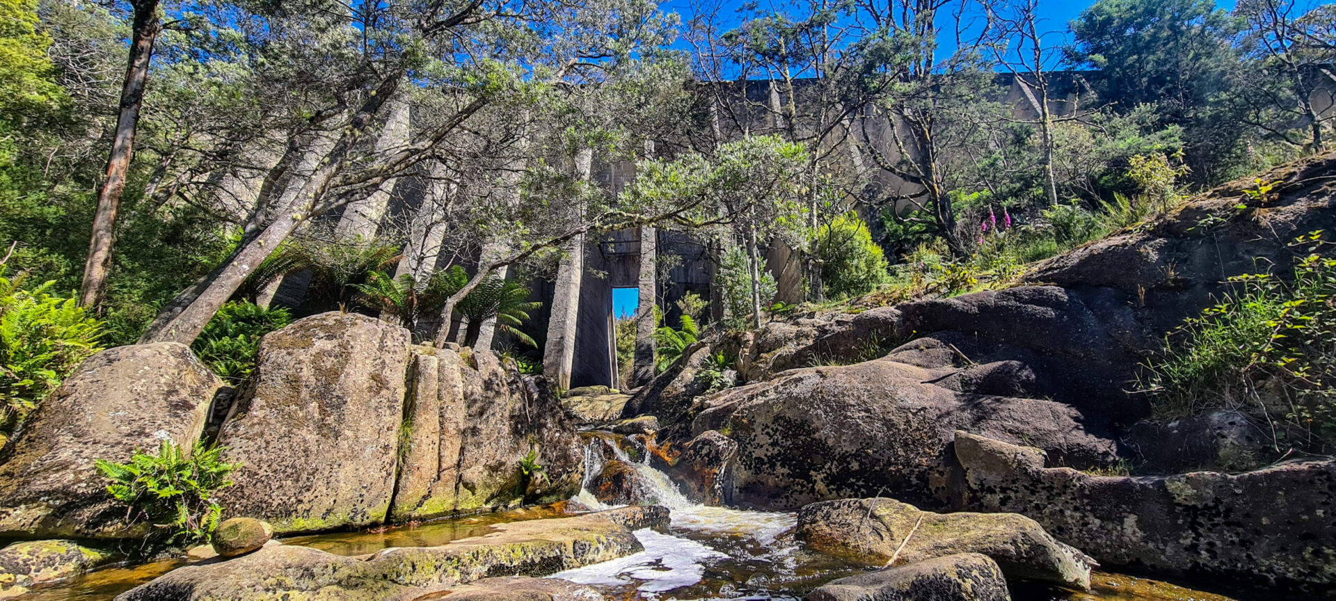 Blue Tier Discovery Trail– The Caravan of Courage