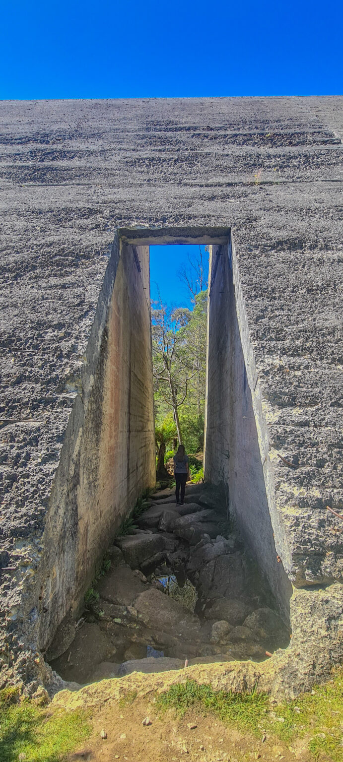 Blue Tier Discovery Trail– The Caravan of Courage