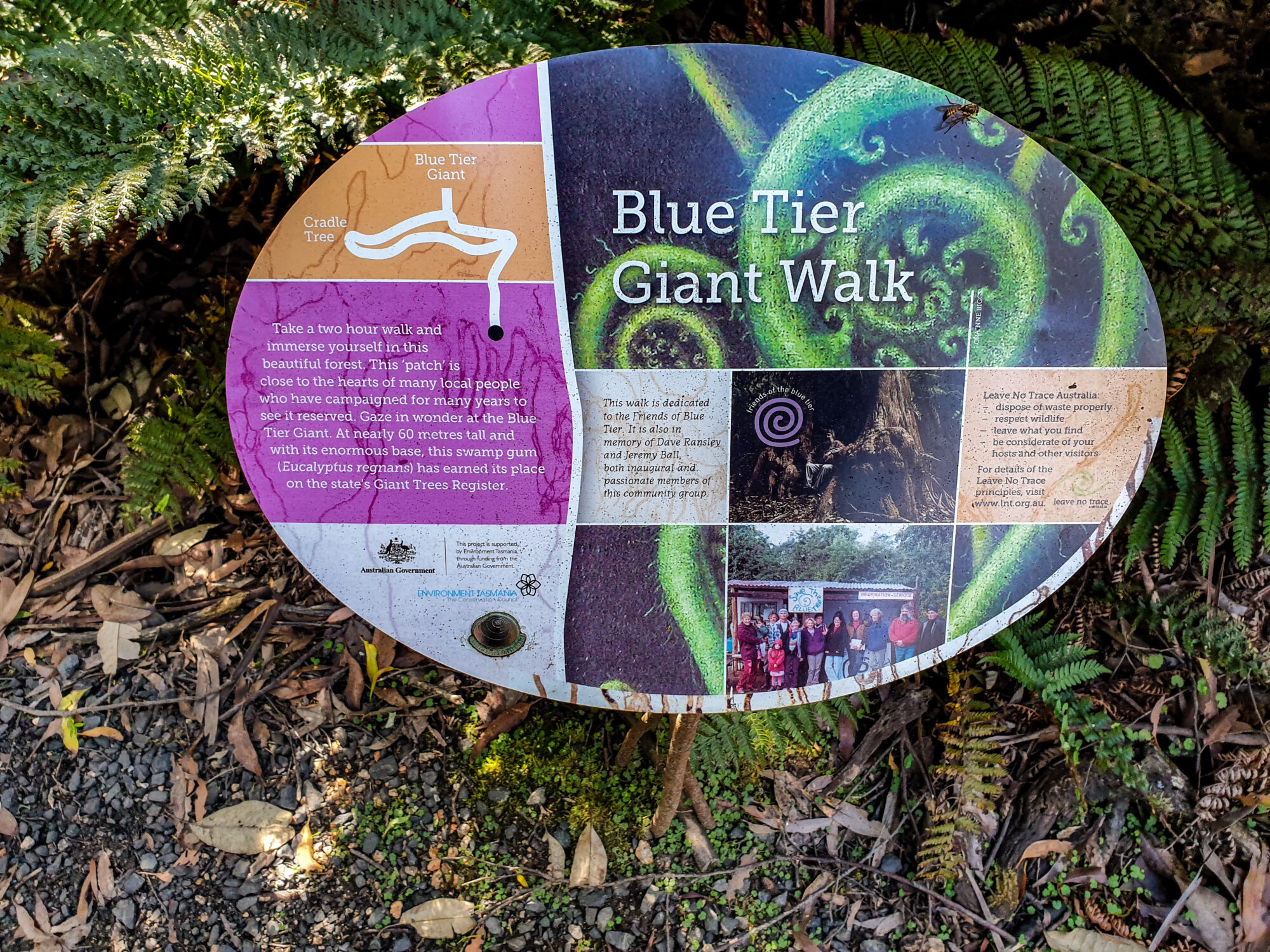 Blue Tier Discovery Trail– The Caravan of Courage
