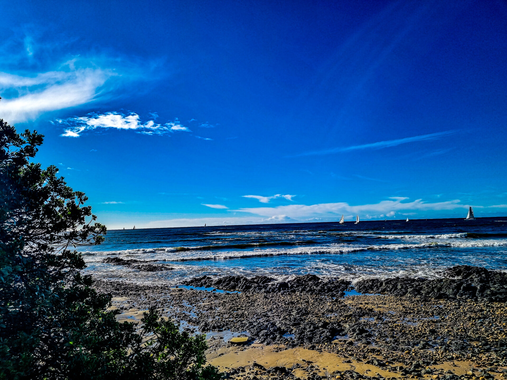 The Best Things To See In Beautiful Devonport