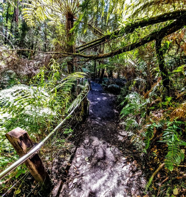 The Best Free Things See In Colac And Surrounds