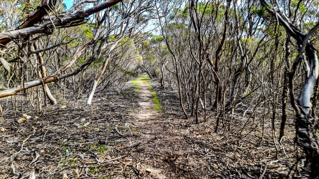 Beautiful Places To Visit At Innes National Park