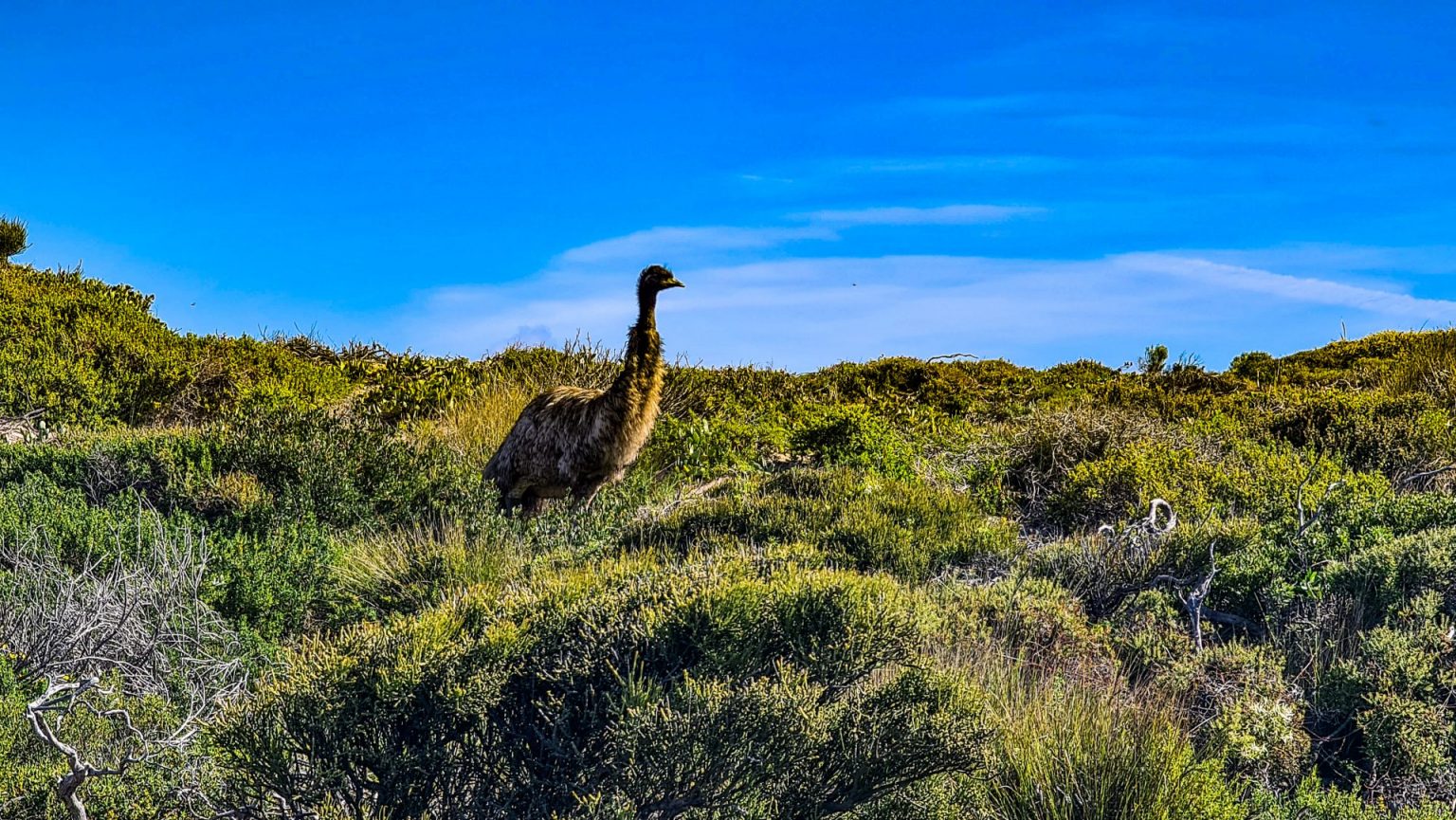 How To Spend 3 Epic Day’s At Innes National Park