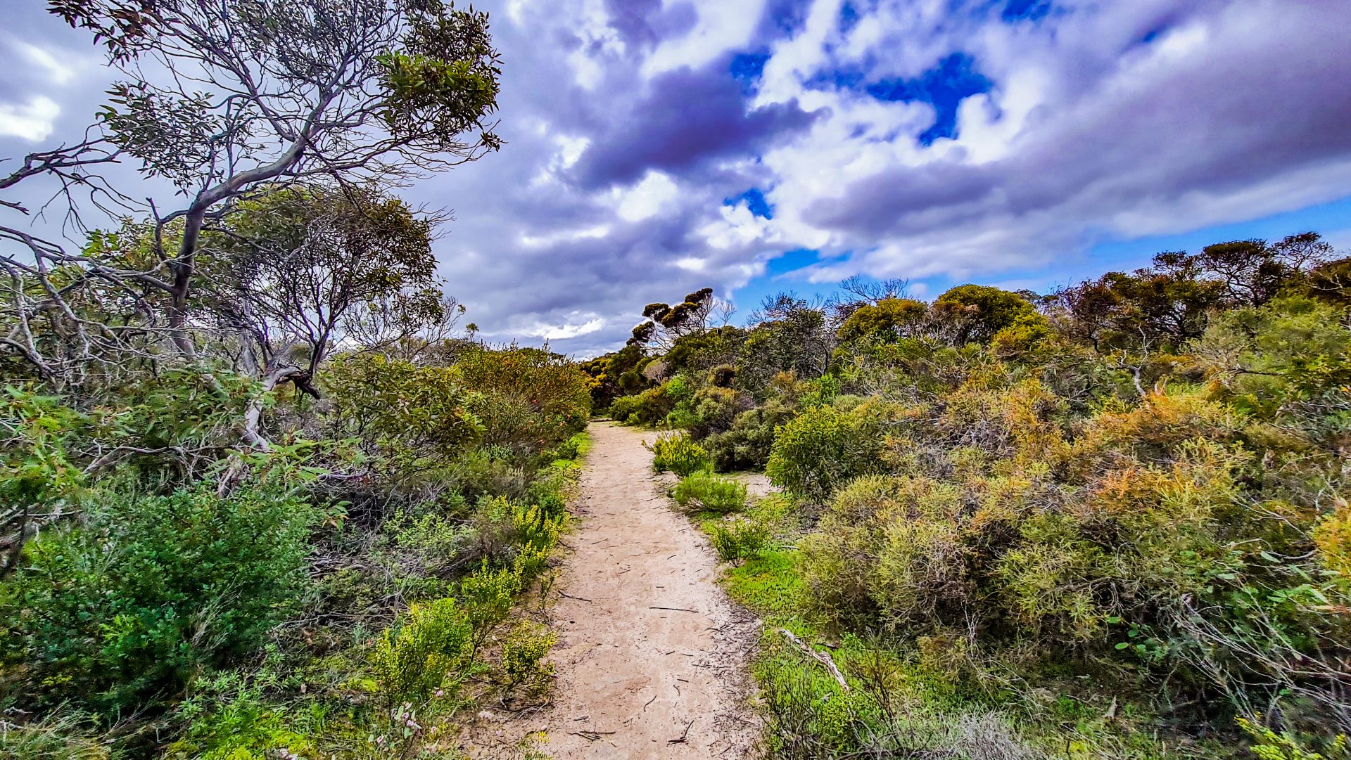 Beautiful Places To Visit At Innes National Park