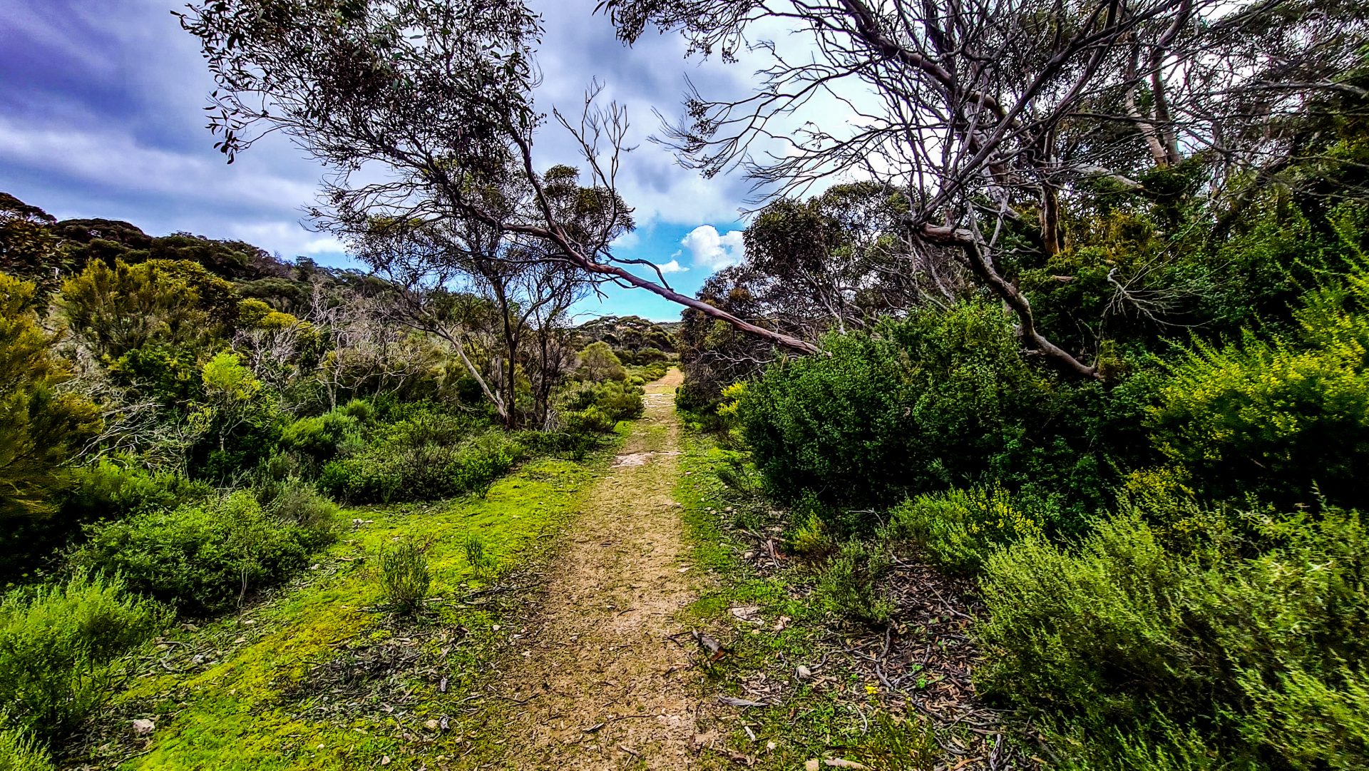 Beautiful Places To Visit At Innes National Park