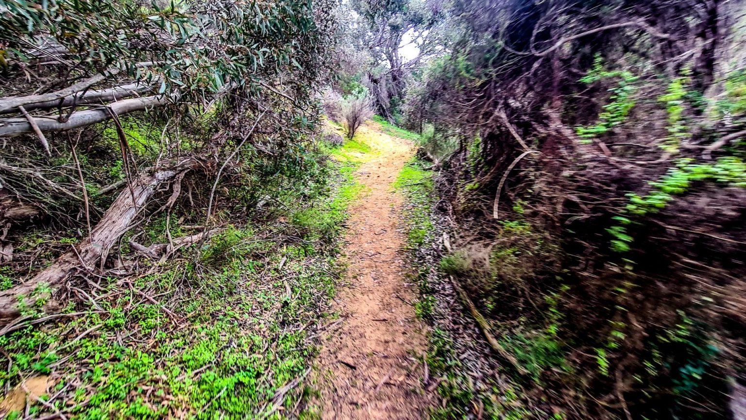 Beautiful Places To Visit At Innes National Park