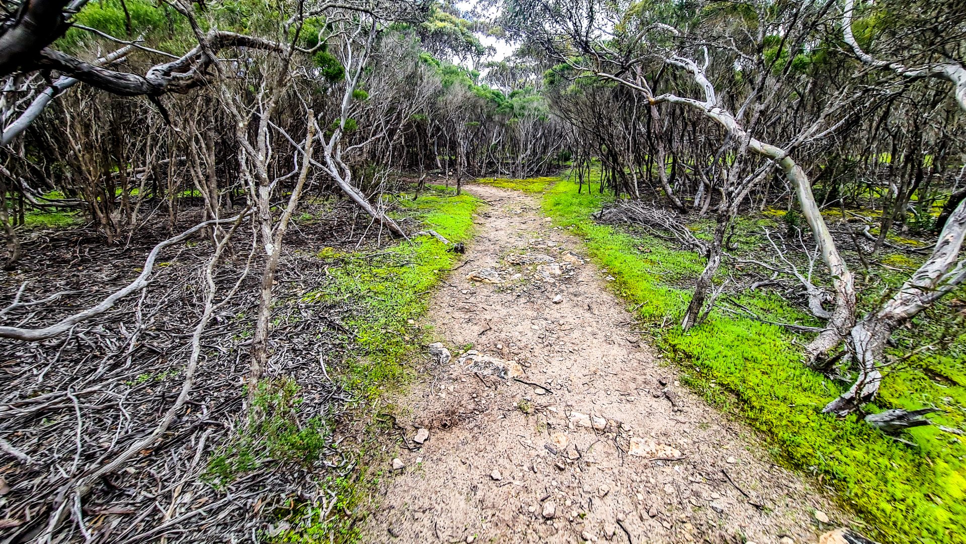 Beautiful Places To Visit At Innes National Park
