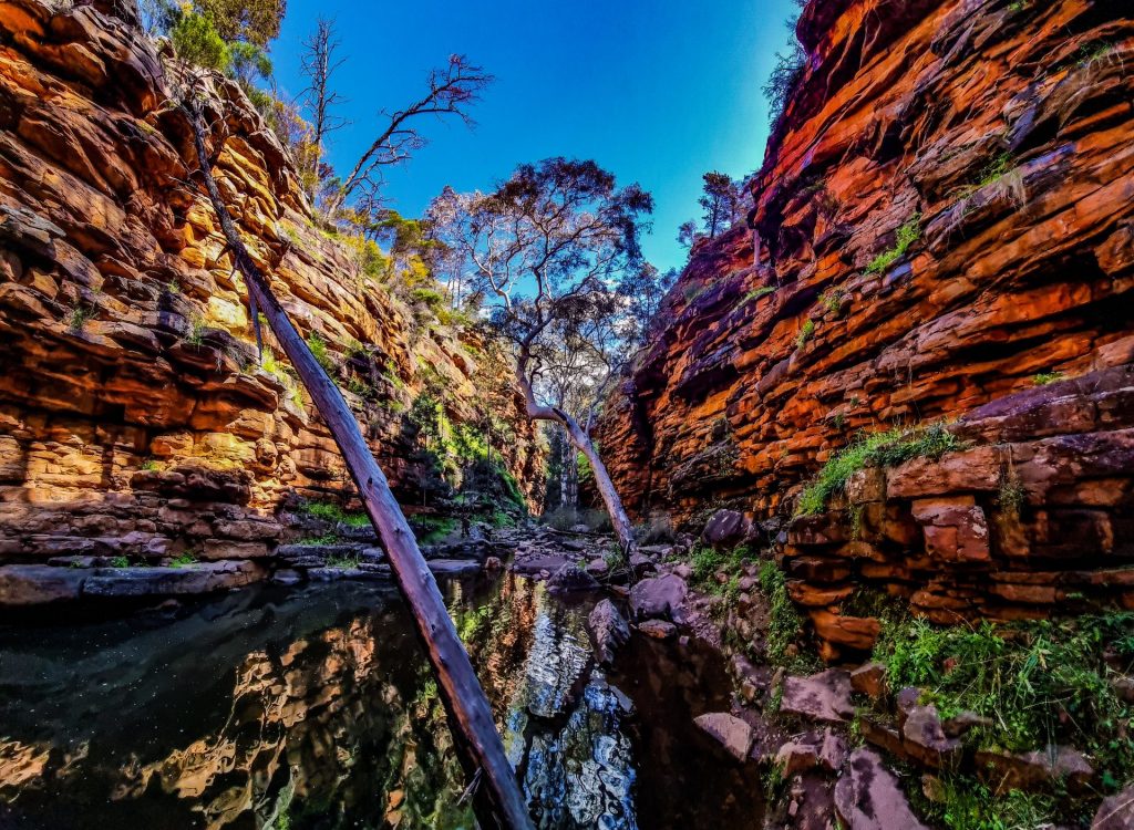 7 Day Road Trip In The Beautiful Flinders Ranges