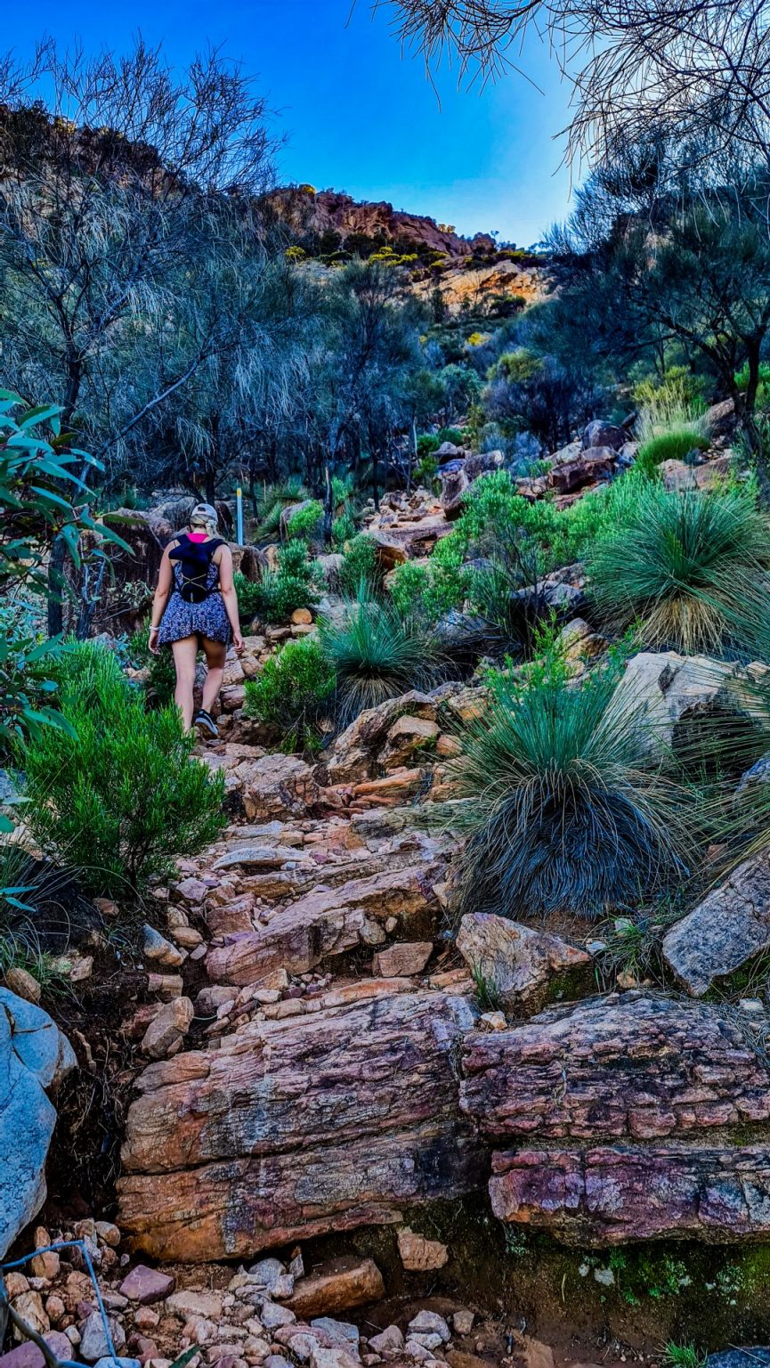 The Best Places To Visit In The Beautiful Flinders Ranges