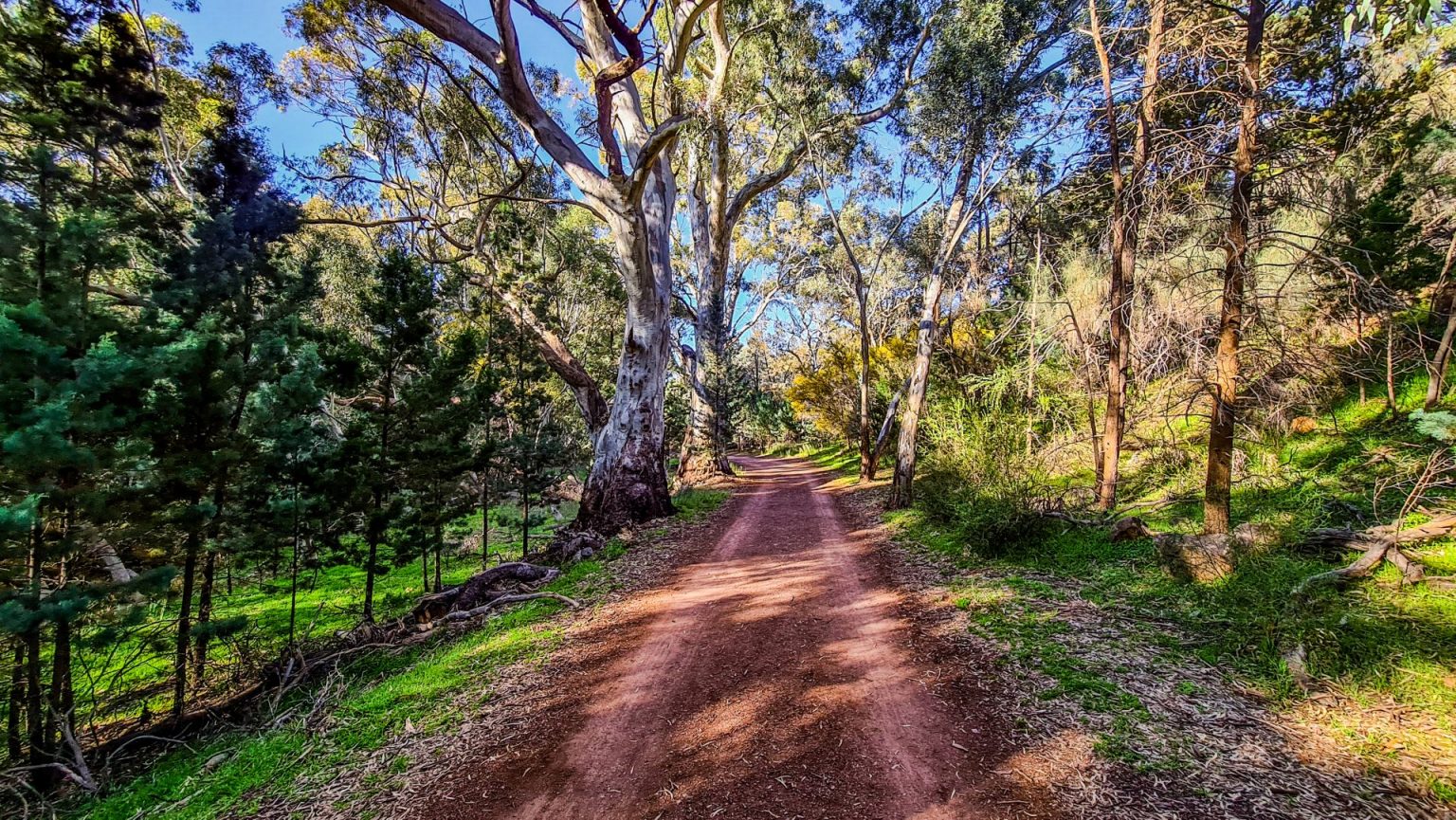 7 Day Road Trip In The Beautiful Flinders Ranges