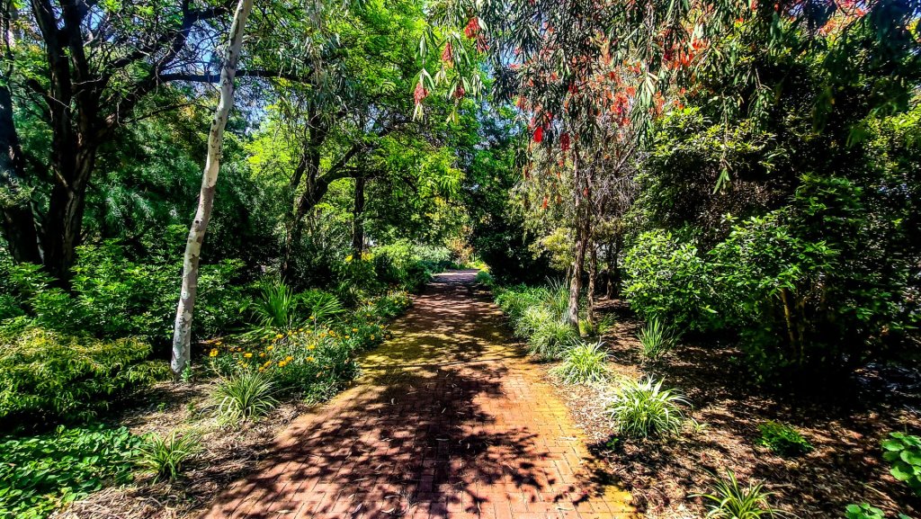 The Best Things To See And Do In Beautiful Whyalla