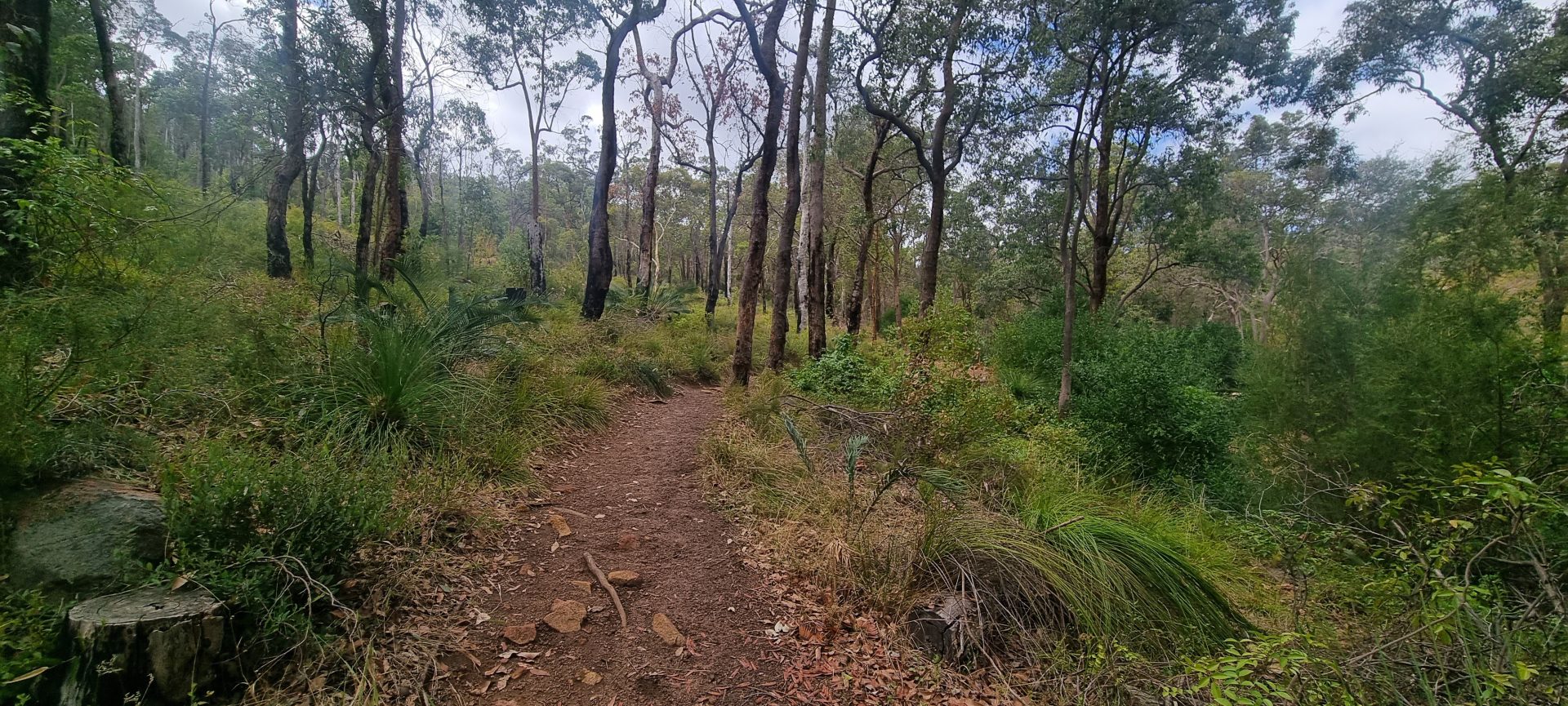 The Most Beautiful Hikes In Perth – The Caravan of Courage