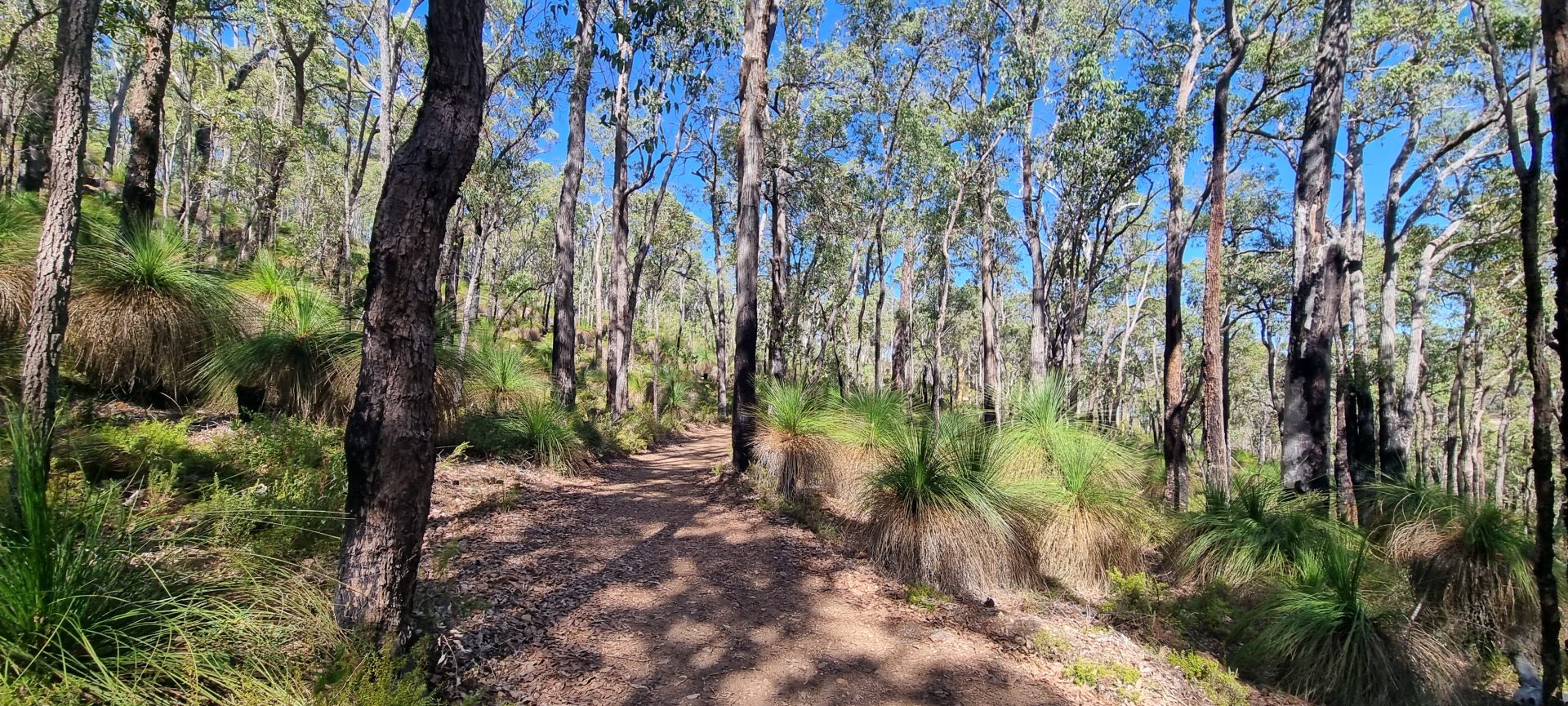 The Most Beautiful Hikes In Perth – The Caravan of Courage