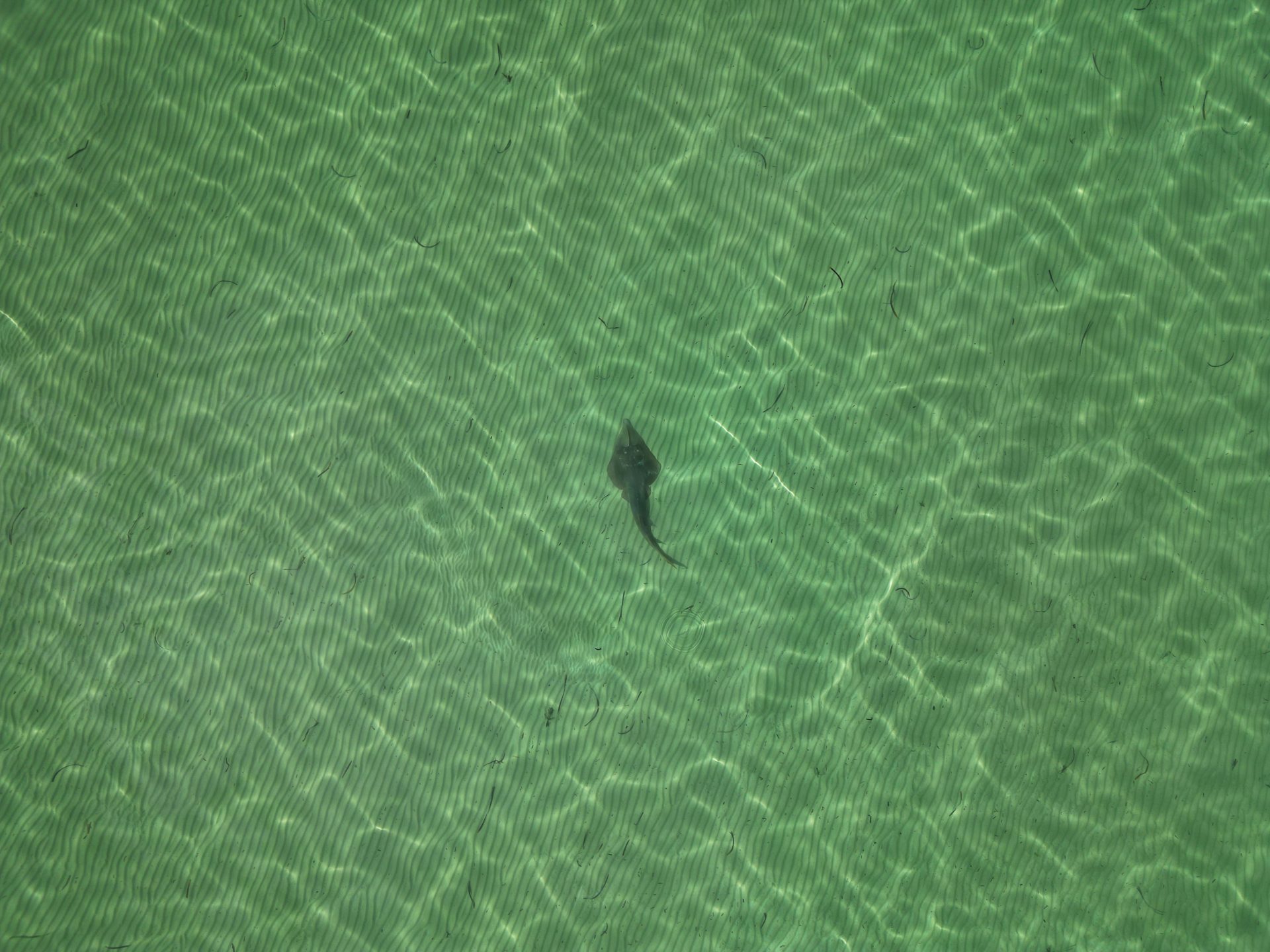 The Best Places To See In Beautiful Denham