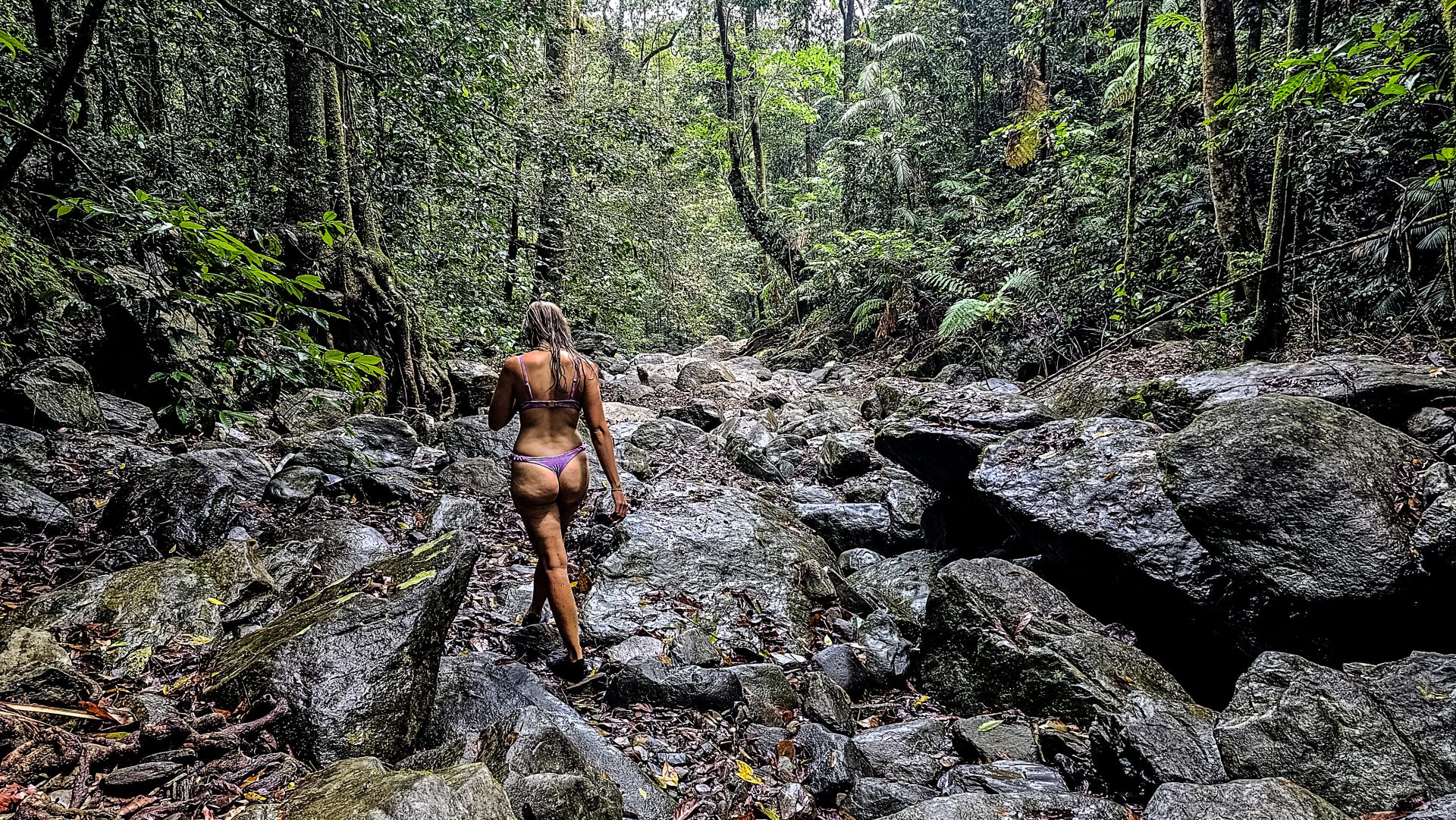 A Beautiful Hike to Alexandra Fall’s In The Daintree