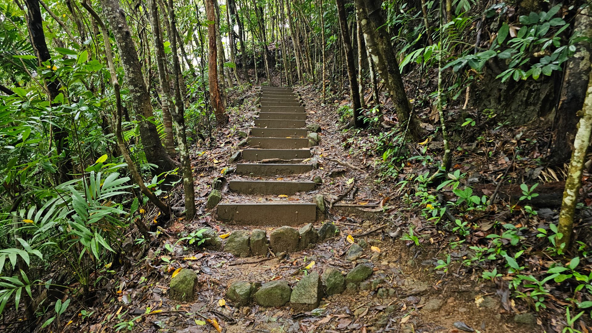 This is the Beautiful Kennedy Walking Trail